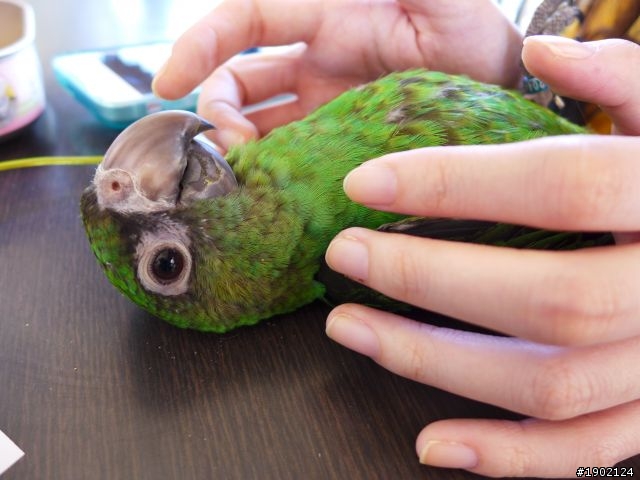 [LX7]蓋大樓 (第17頁) - Mobile01