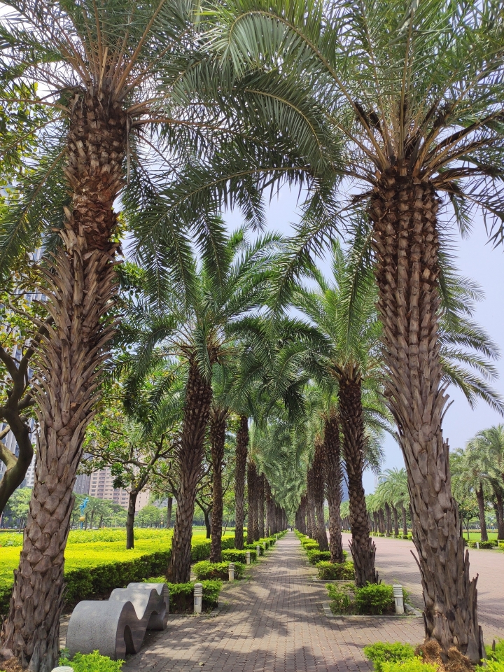 小米6變成小米9T - Mobile01