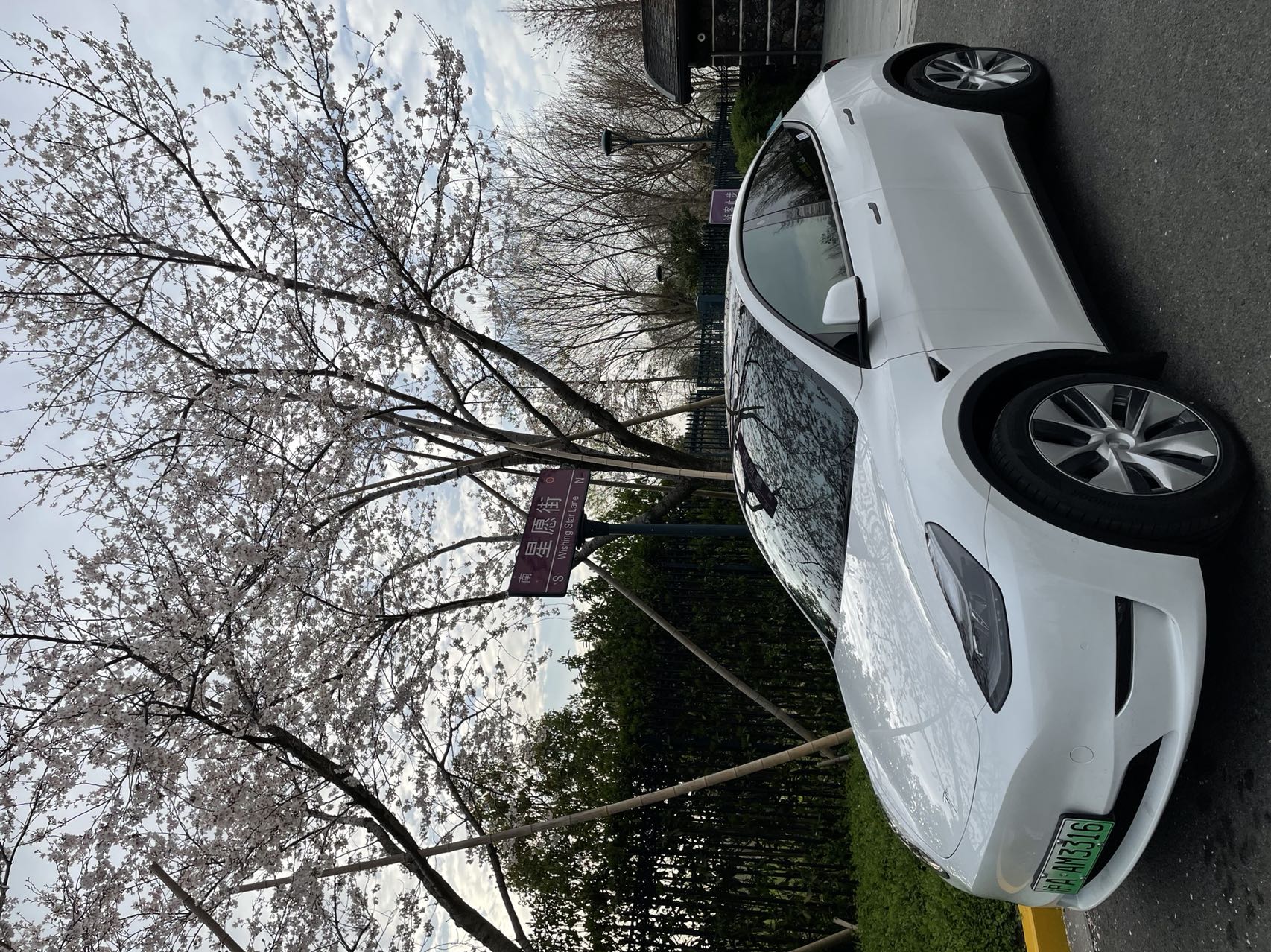 中國版Model Y 使用心得-家用運動兩相宜 - Mobile01