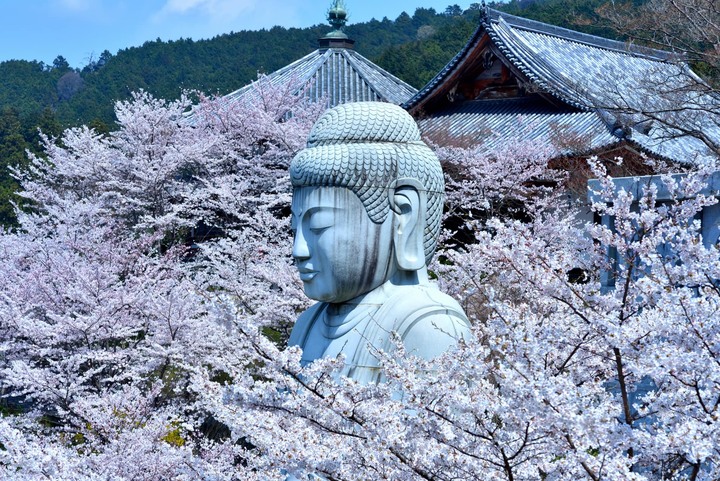 那些年我們一起開的搞笑地產公司 五都法拍屋 9月爆量-歪樓篇 (第8529頁) - Mobile01