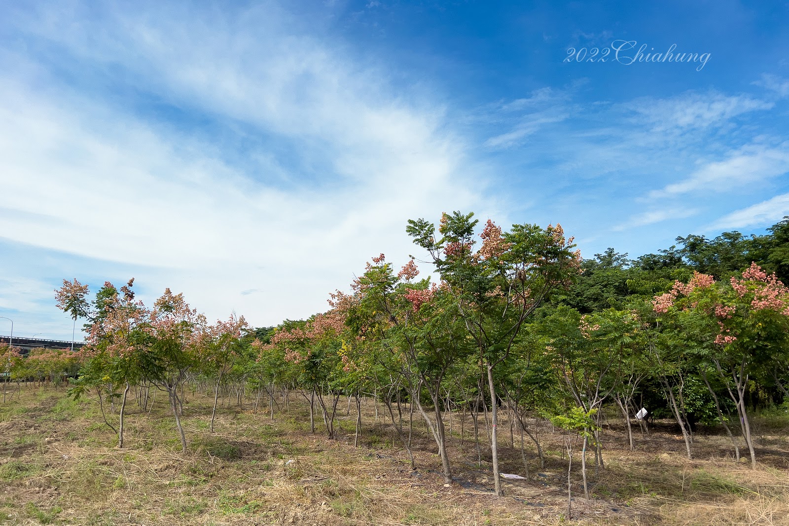 徒步環島 (五) Day10、Day11、Day12 走進南台灣 新的旅程即將開始 - Mobile01