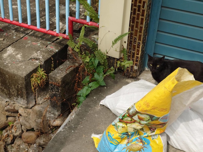 請問您是否一周至少會購買一次餃類 (含鍋貼) 的產品 ? - Mobile01