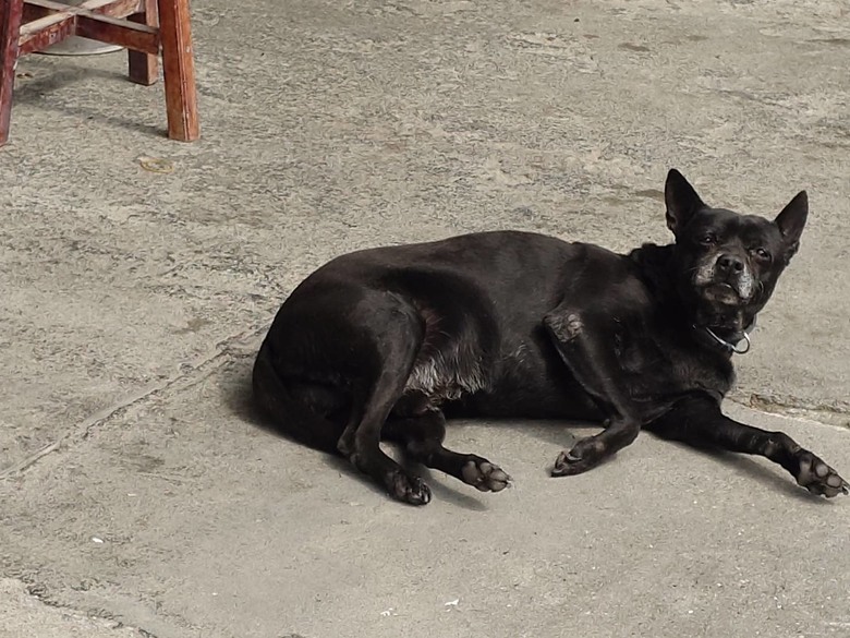 請問您是否一周至少會購買一次餃類 (含鍋貼) 的產品 ? - Mobile01