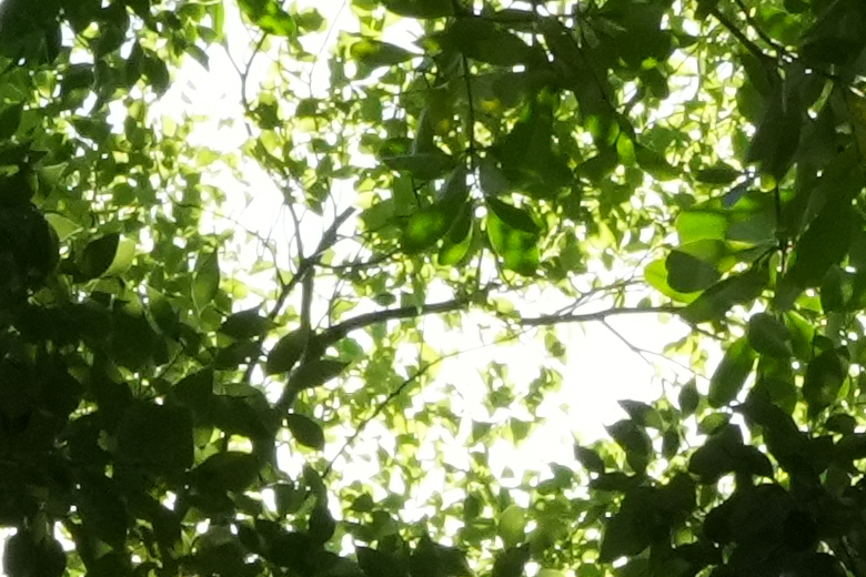 Tamron 28-300mm f/4-7.1 Di III VC VXD（A074）評測報告｜制霸無反、10.7x 旅遊鏡捲土重來！ - Mobile01